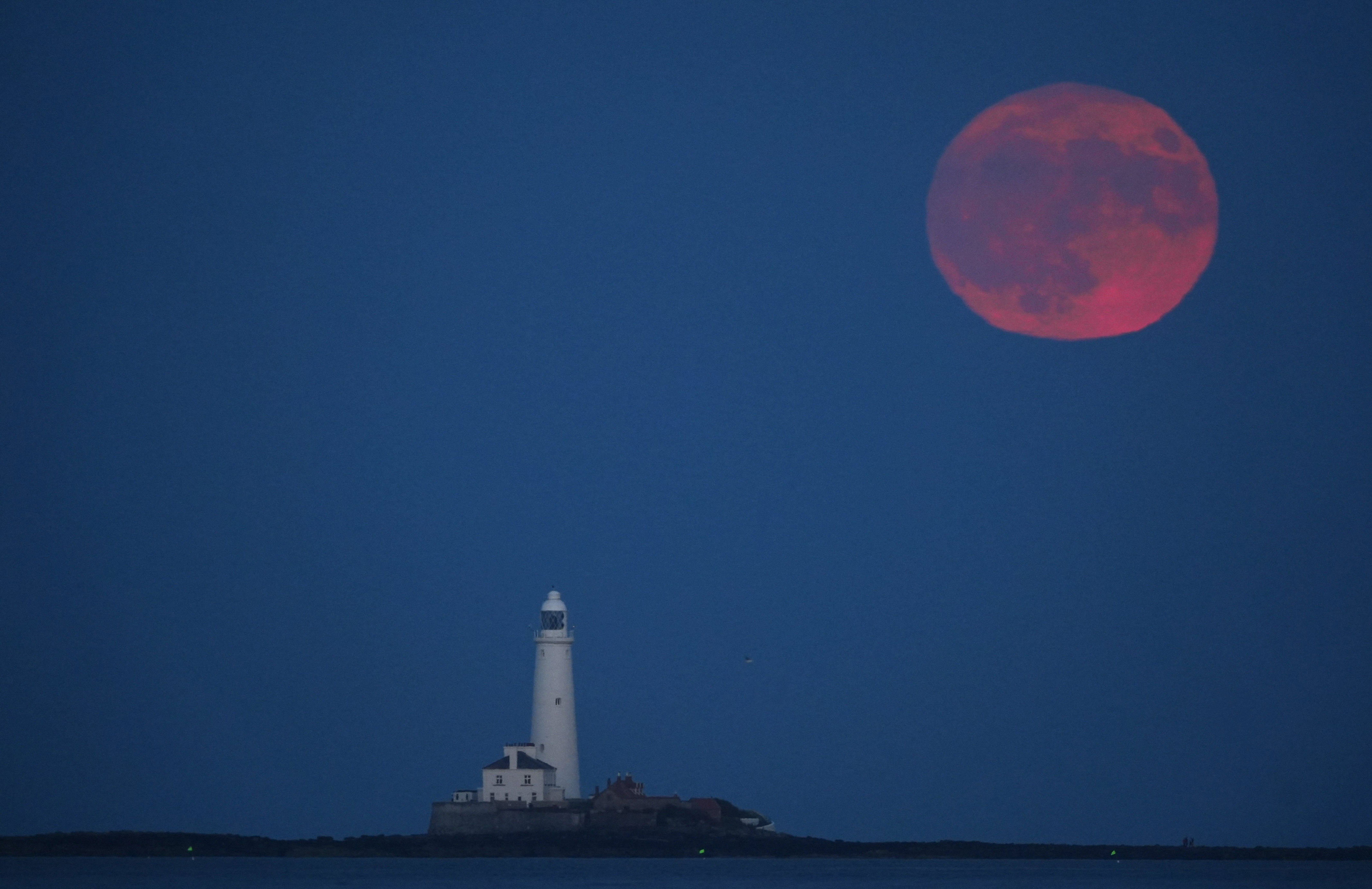 Strawberry Moon: Best photos of rare night sky phenomenon visible this week