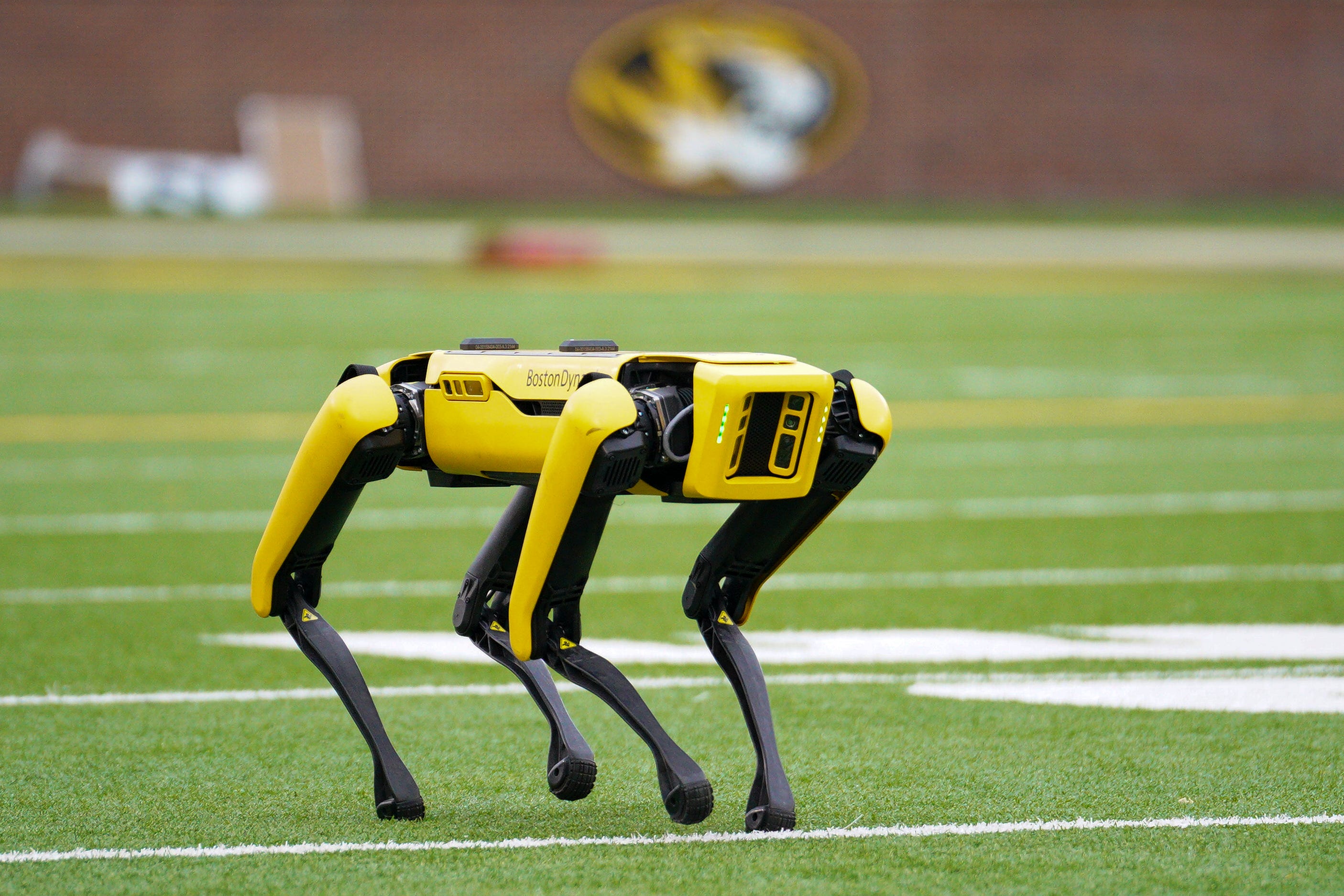 Boston Dynamics robot dogs danced on America's Got Talent. Watch the ...