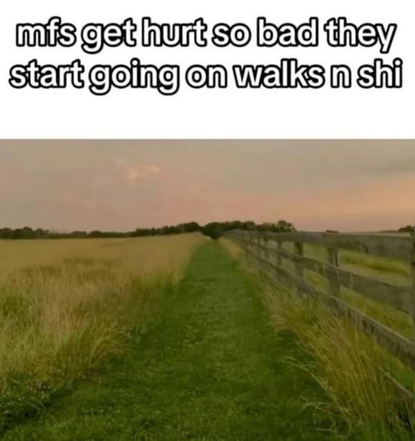 40 Funny Nature Memes For People Who Love The Outdoors