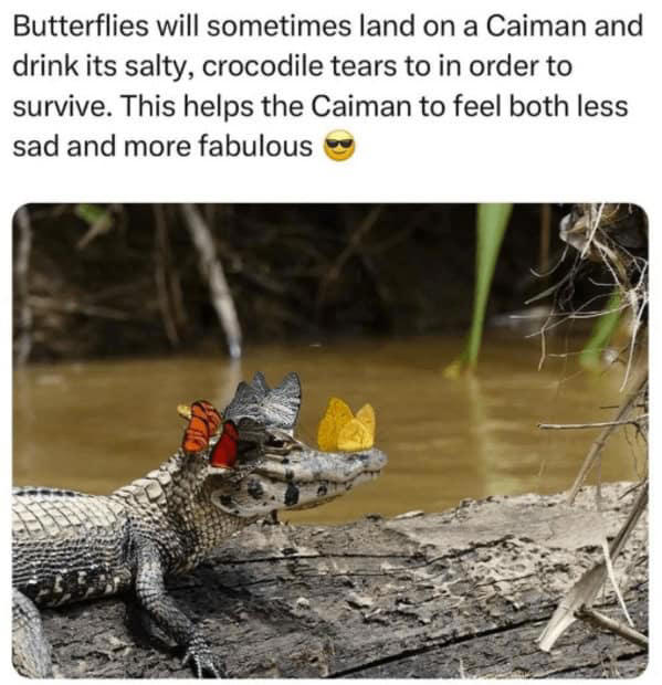 40 Funny Nature Memes For People Who Love The Outdoors