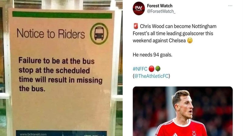 24 'Technically True' Statements That Totally Check Out