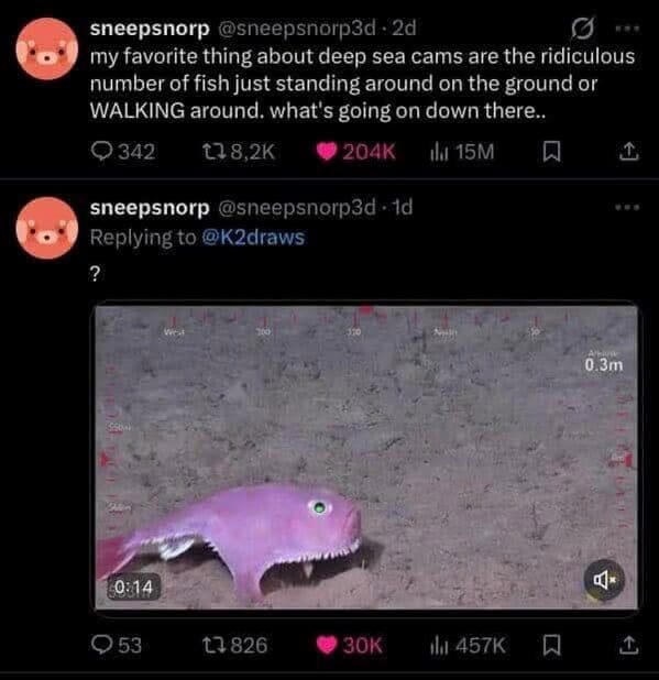 40 Funny Nature Memes For People Who Love The Outdoors