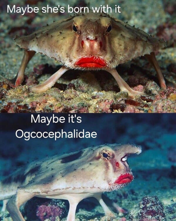 40 Funny Nature Memes For People Who Love The Outdoors