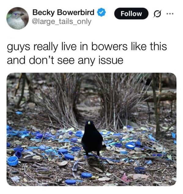 40 Funny Nature Memes For People Who Love The Outdoors