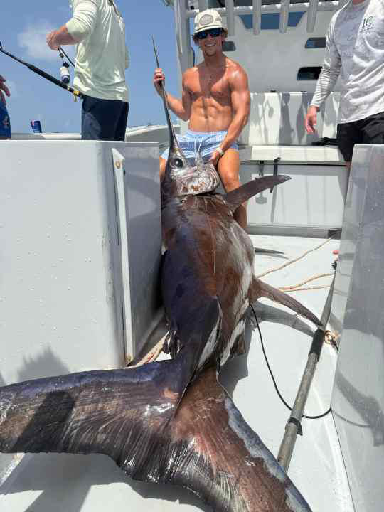 Fish tale: Louisiana man hauls in over 350 pound swordfish in the Gulf