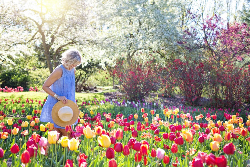 The Spiritual Meaning And Significance Of Tulips