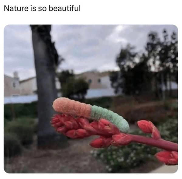 40 Funny Nature Memes For People Who Love The Outdoors