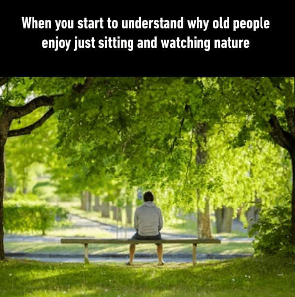 40 Funny Nature Memes For People Who Love The Outdoors