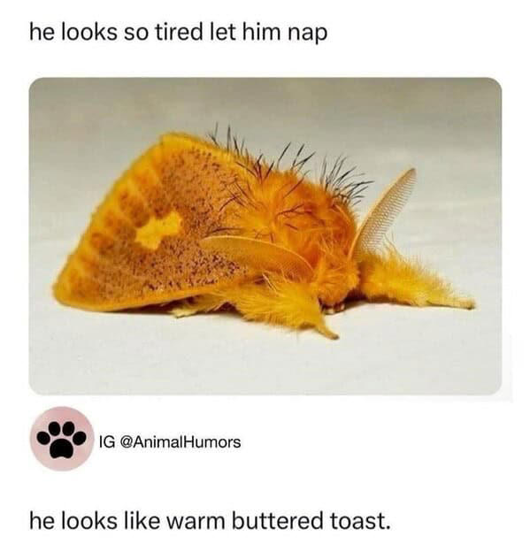 40 Funny Nature Memes For People Who Love The Outdoors