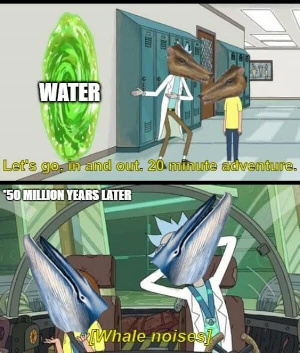 40 Funny Nature Memes For People Who Love The Outdoors