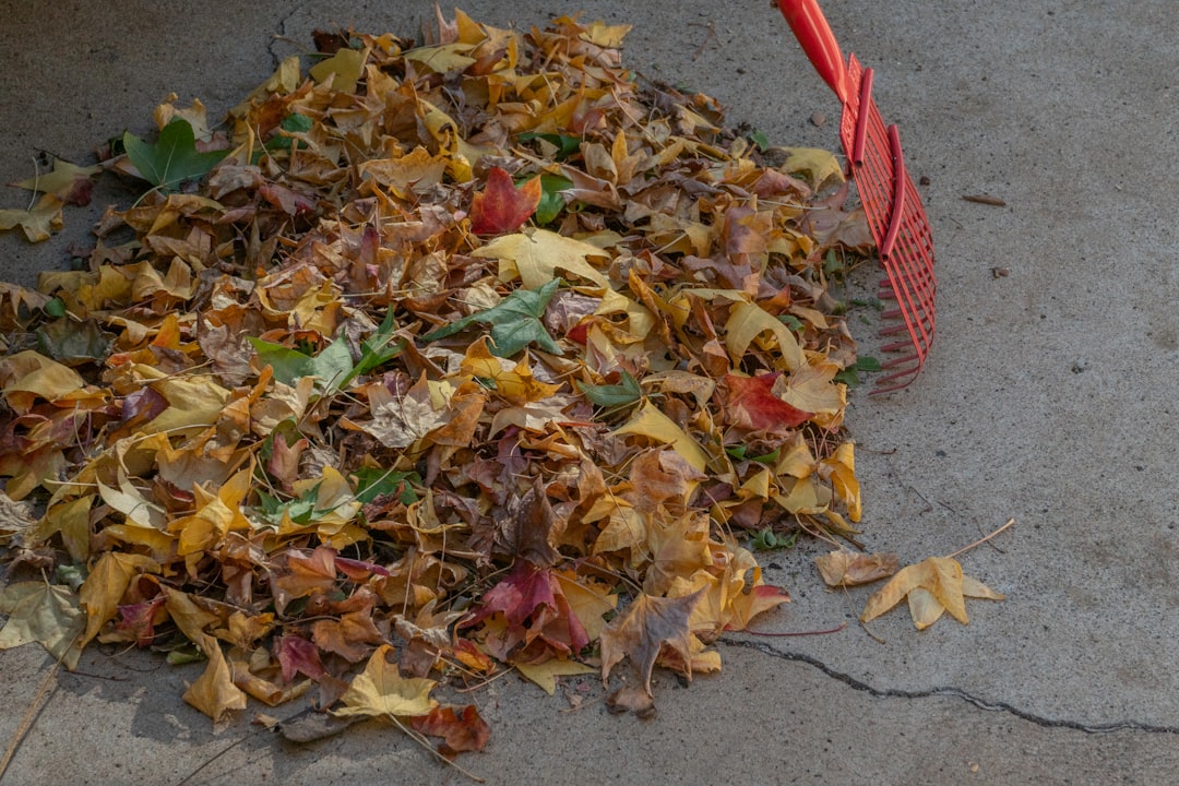 12 Foods You Should Keep Out of the Compost (But Probably Don't)