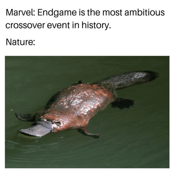 40 Funny Nature Memes For People Who Love The Outdoors