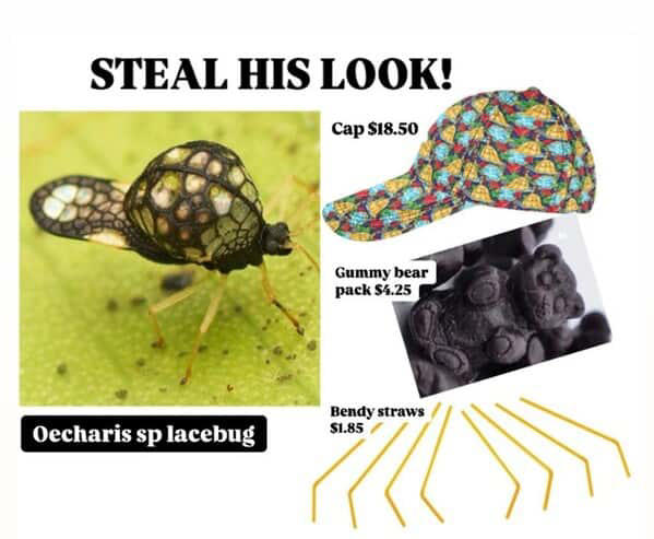 40 Funny Nature Memes For People Who Love The Outdoors