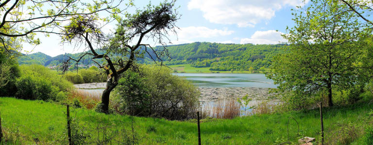 Natur pur: Hier findest du die 21 schönsten Badeseen Deutschlands