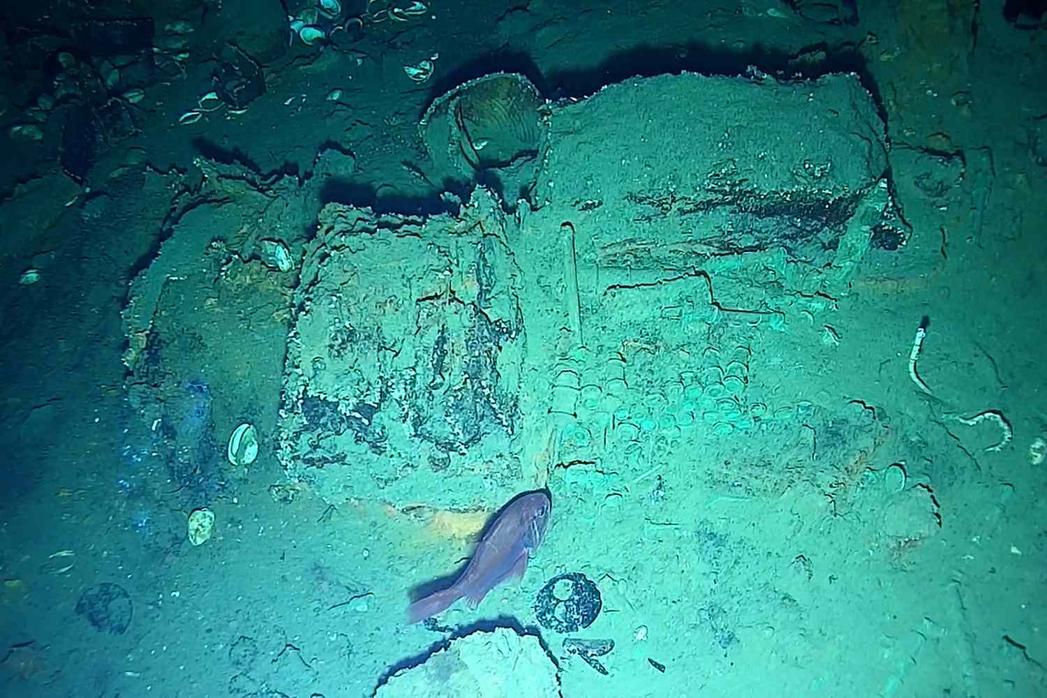 Discovery of 300-Year-Old Coins May Prove $17 Billion ‘Richest Wreck in ...