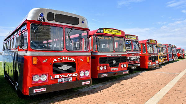 Special Bus Service Between Peradeniya and Kandy