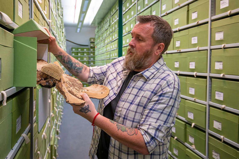 Unlocking genetic secrets of the world's most vital fungi collection