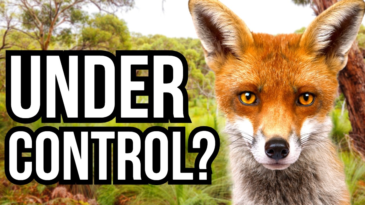 5 Invasive Species Eradication Campaigns