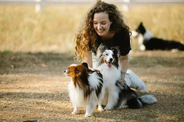 If Your Dog Does These 5 Things, They Trust You With Their Life!