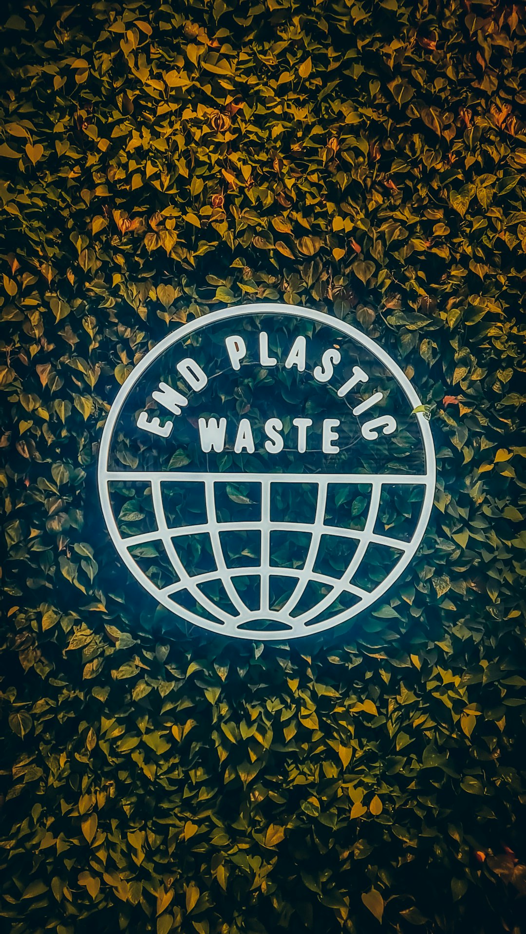 Why I Quit Recycling—and What That Might Mean for You