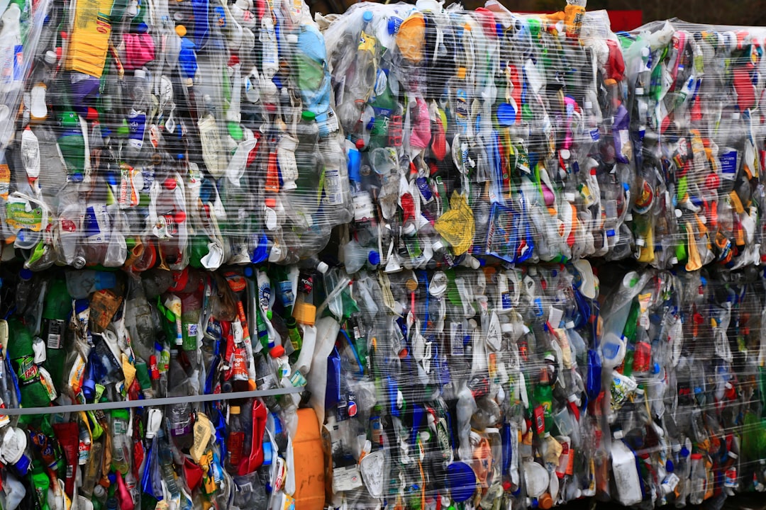 Why I Quit Recycling—and What That Might Mean for You