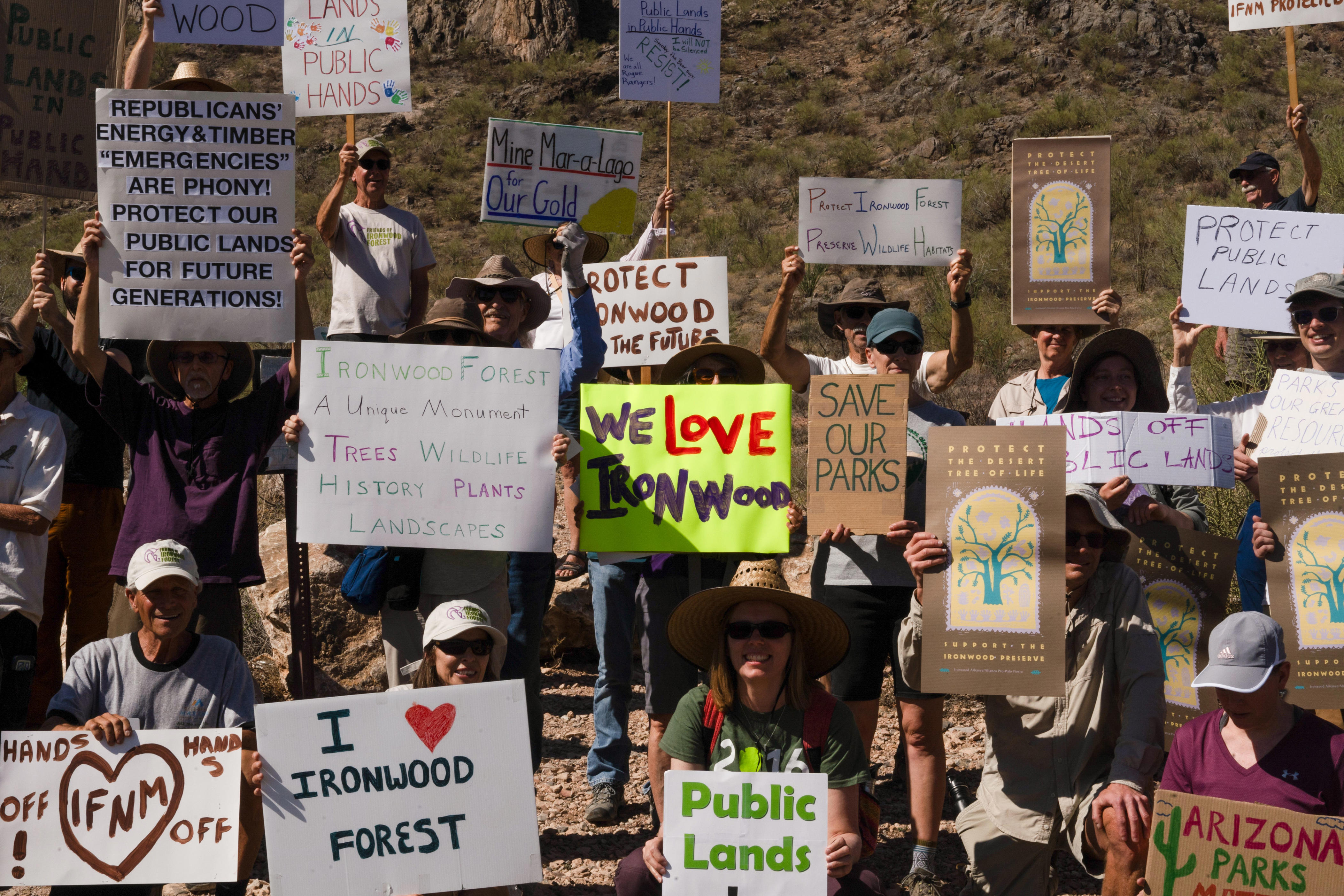 Trump plans to rescind 'roadless rule' in forests, opening lands to new ...