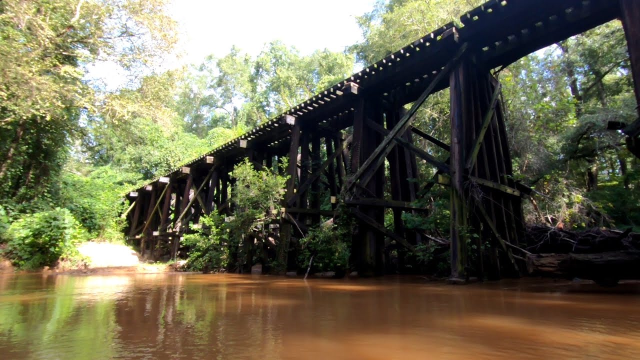 Georgia’s Forgotten Railroad Bridge: A Hidden Treasure in the Woods