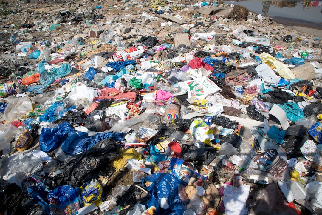 Are We Really Saving the Planet—or Just Pretending to?
