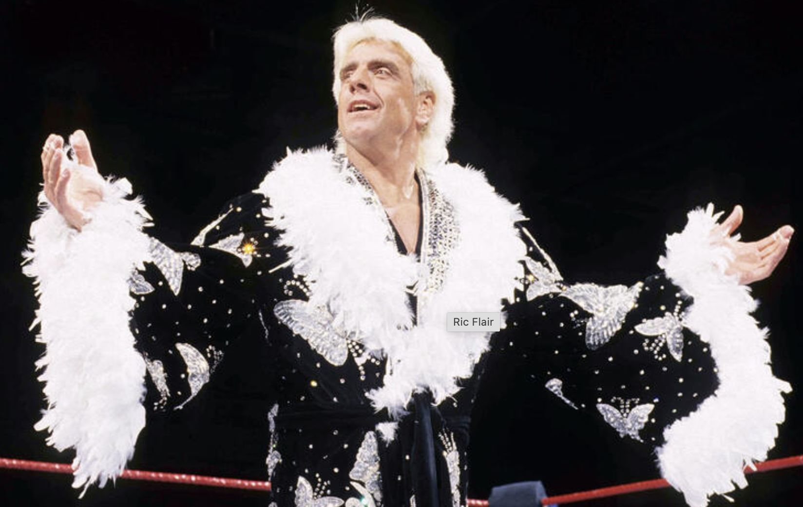 What is former WWE star Ric Flair's net worth in 2025? Current earnings ...