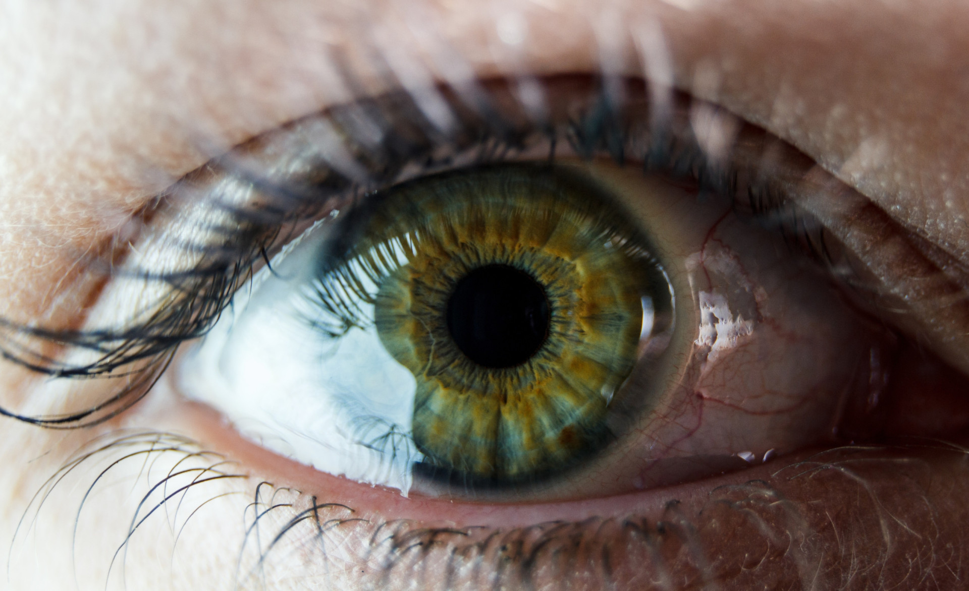 Body parts we can live without: a medical perspective