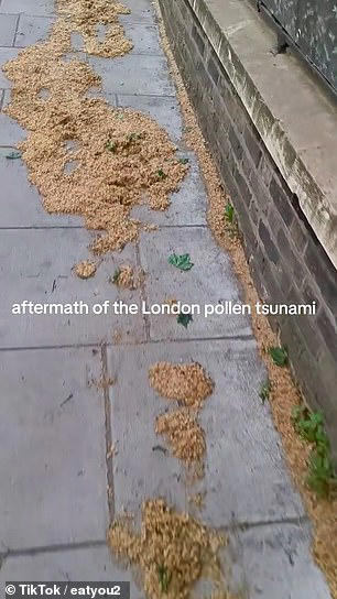 'Pollen bomb' warning as levels soar across England and Wales: Map ...