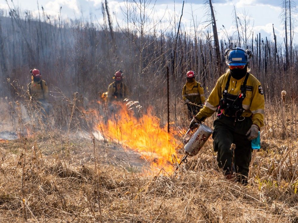 Wildfire updates: How smoke affects health | Status of Alberta's ...