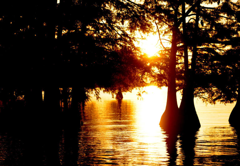 Father's Day ideas in the Shreveport, Bossier area: Guarantees for a ...
