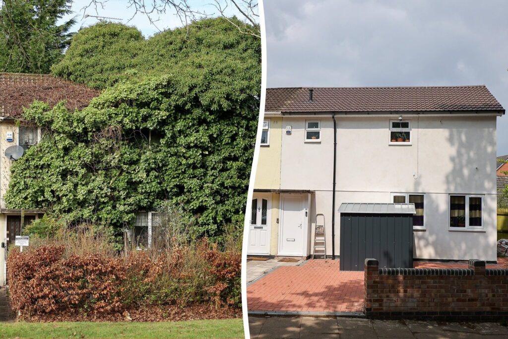 House hidden by trees for 40 years finally cleared