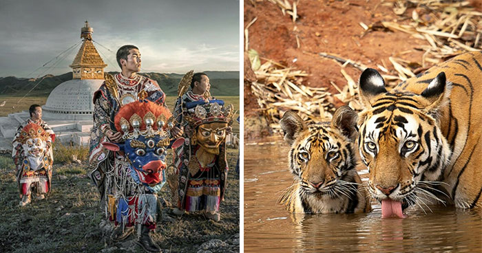 1839 Photography Awards: 24 Winning Color Shots Worth Seeing