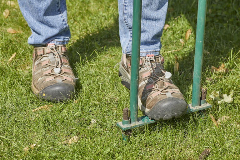 10 Things to Know Before Dethatching a Lawn