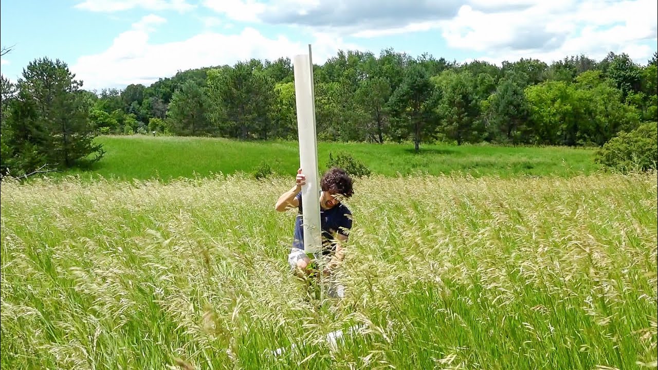 Arboretum Update 2024