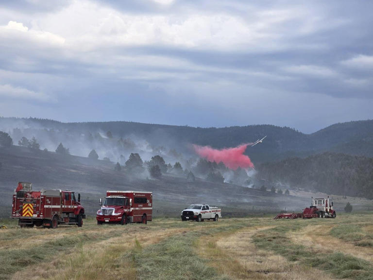 Table Rock Fire burns east of I-5, Montague; largest of Siskiyou June ...
