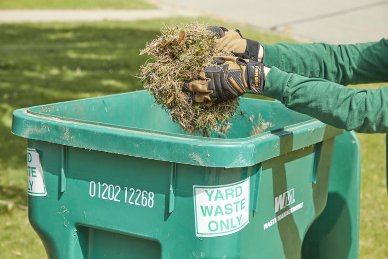 10 Things to Know Before Dethatching a Lawn