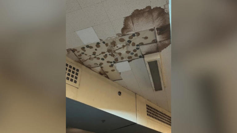 Mold, plumbing problems, and more—a new report reveals much-needed ...