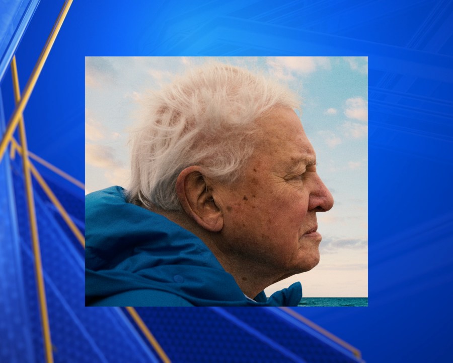 ‘Ocean’ goes deep to look at highs, lows of deep blue seas