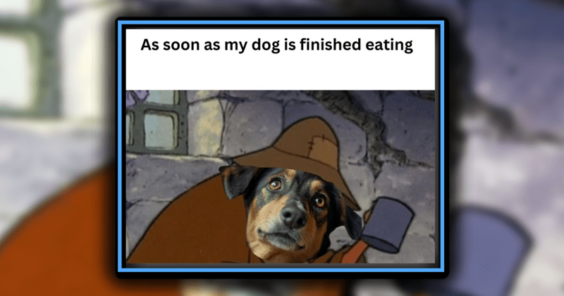 21 Fluffy Meme Distractions for When Your Brain Has Left the Chat