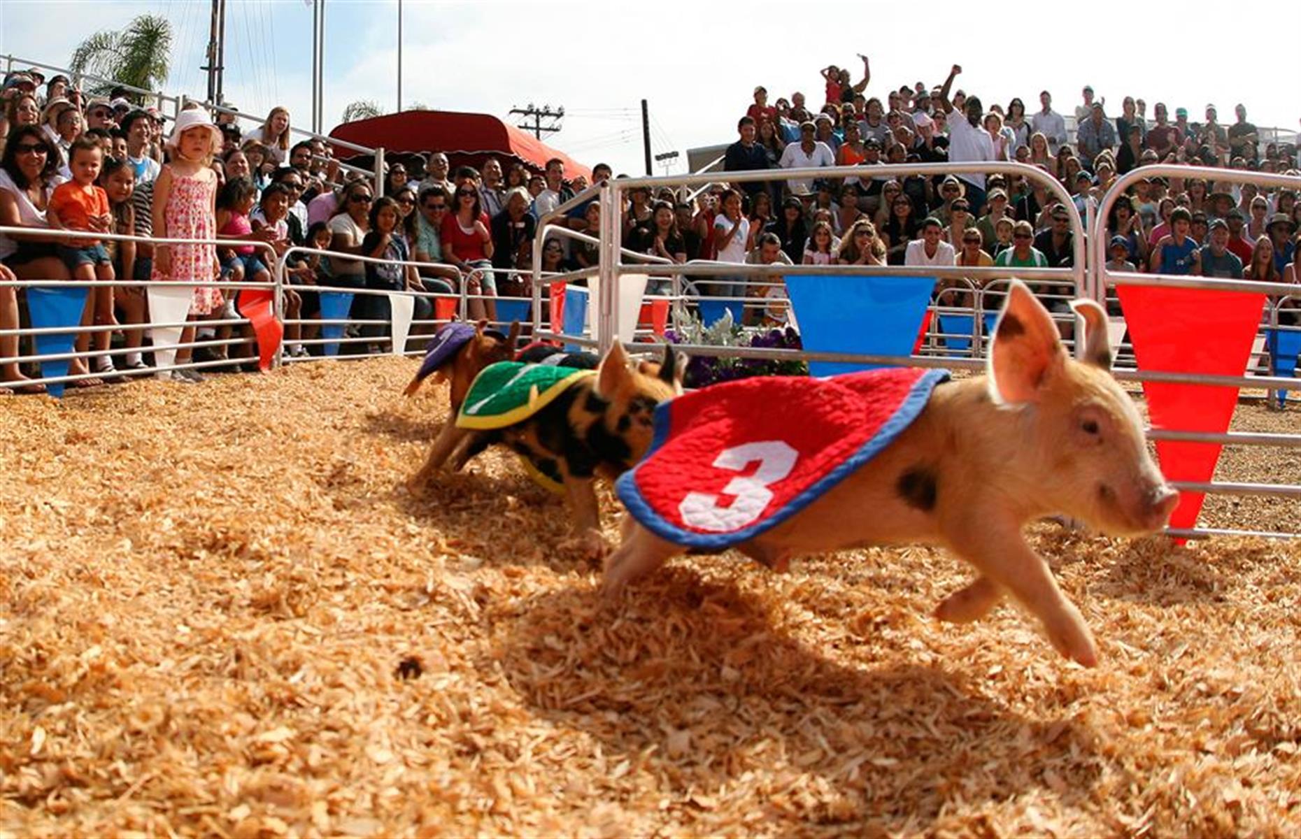 We've Tracked Down The Best State Fairs Across America