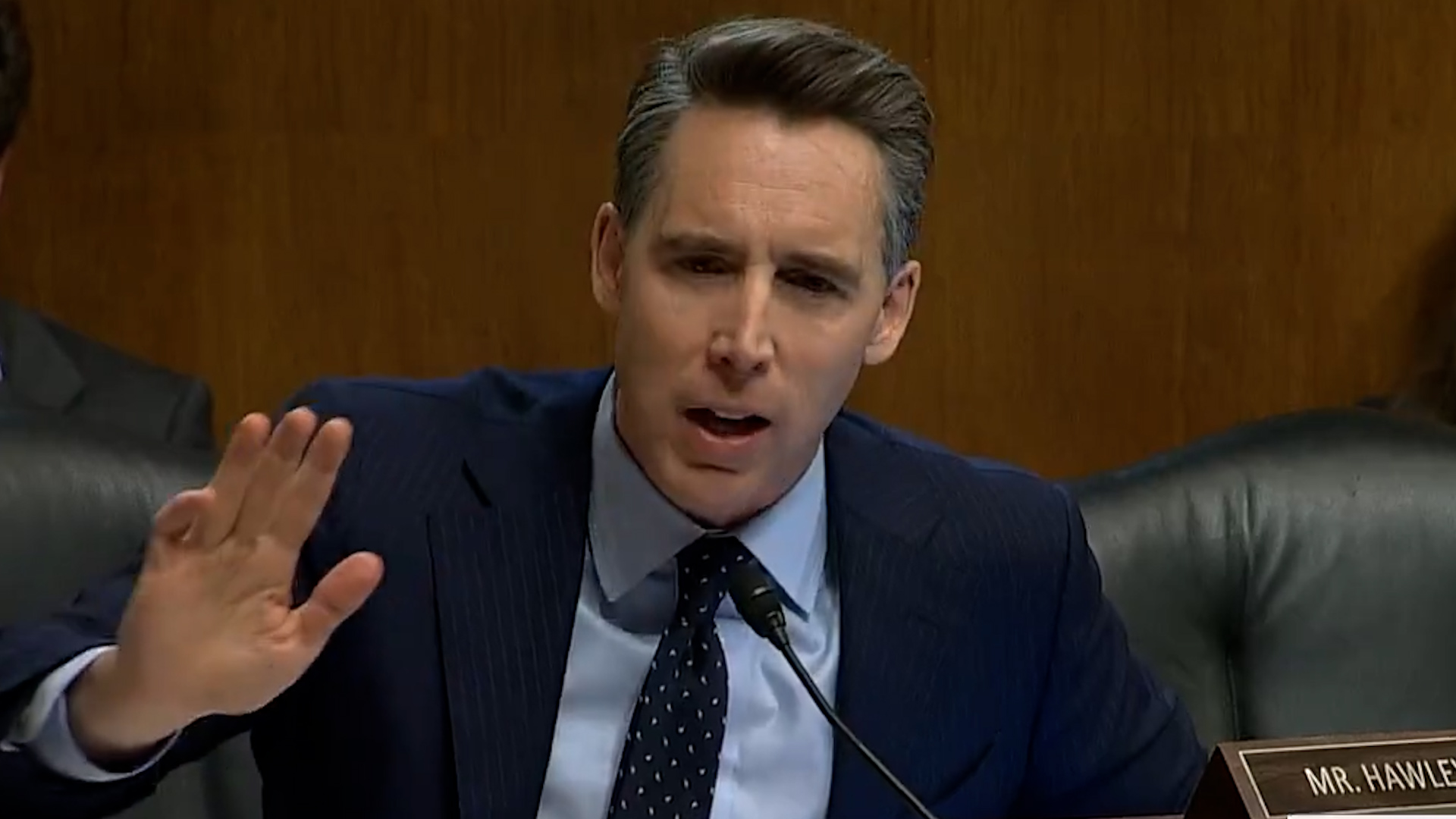 Senator Hawley Grills 23andMe CEO For 'Lying' About Data Deletion