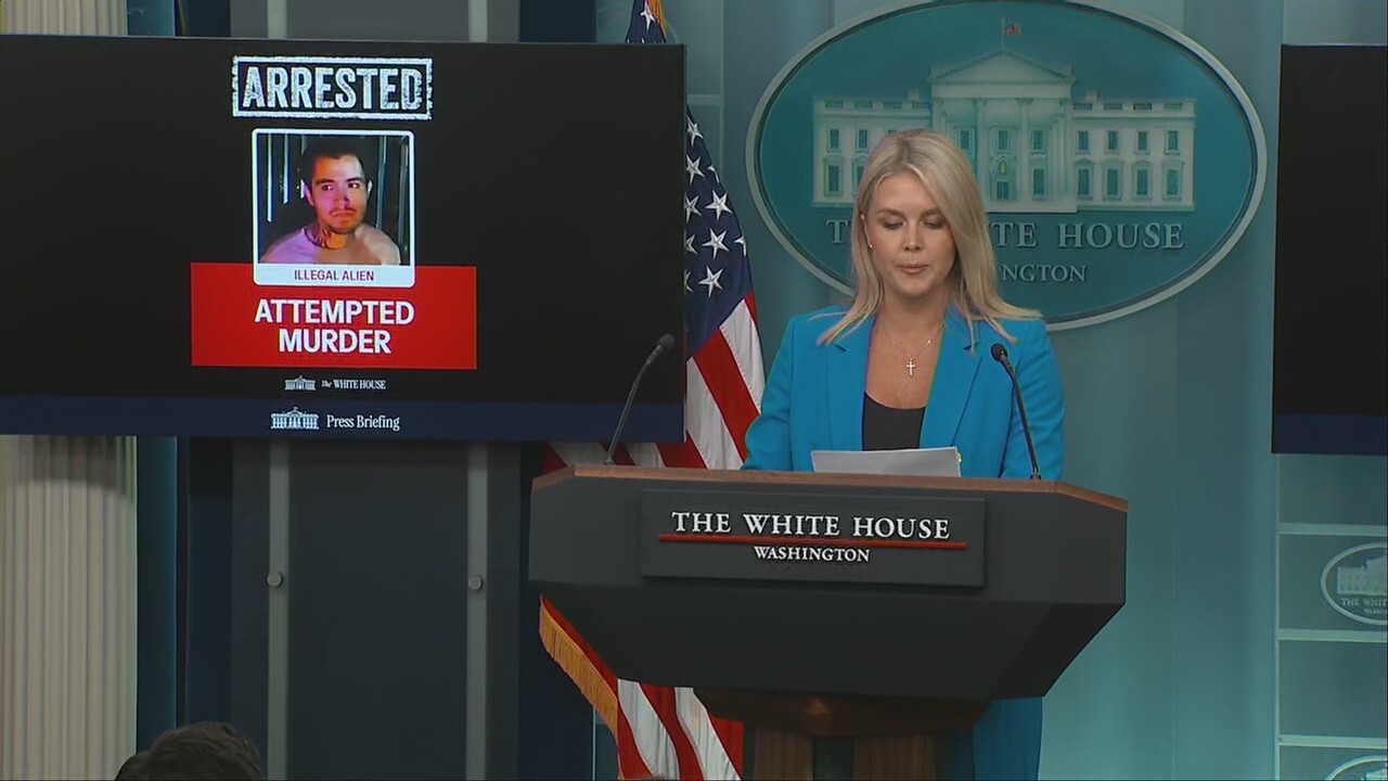 White House Press Briefing On June 11 2025 Raw