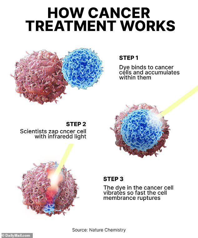 Cancer breakthrough as doctors unveil way to zap tumors into oblivion ...