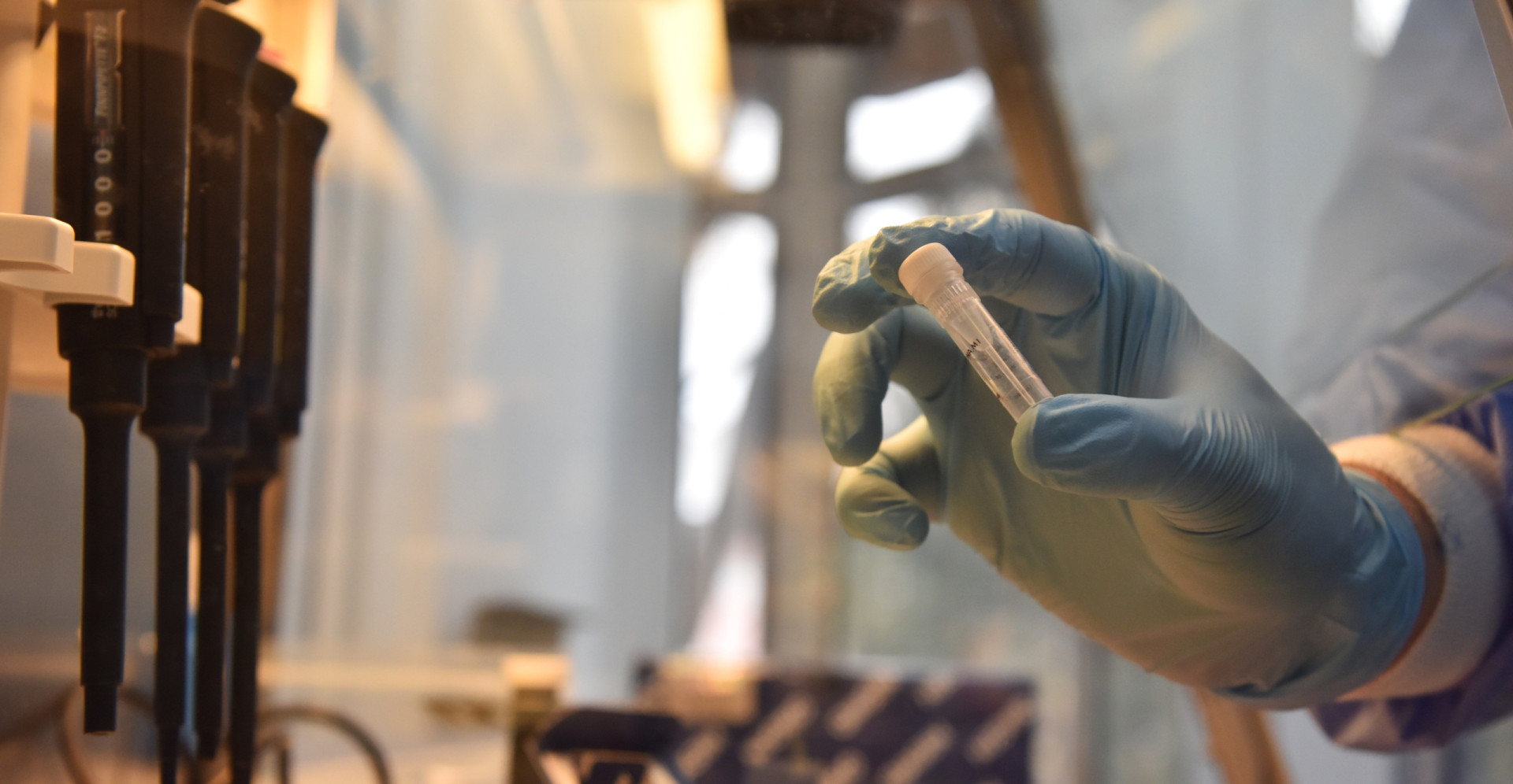 How reliable are ancestry DNA test results?