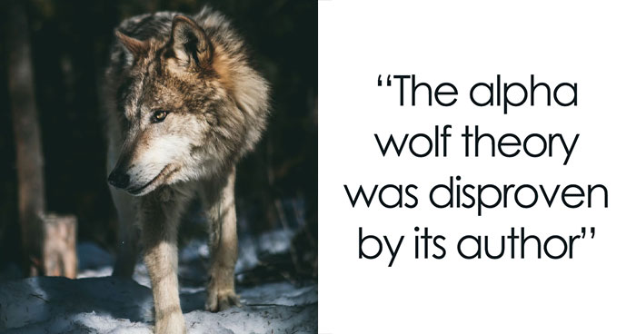 18 Solid Facts That Some People Flat-Out Refuse To Accept