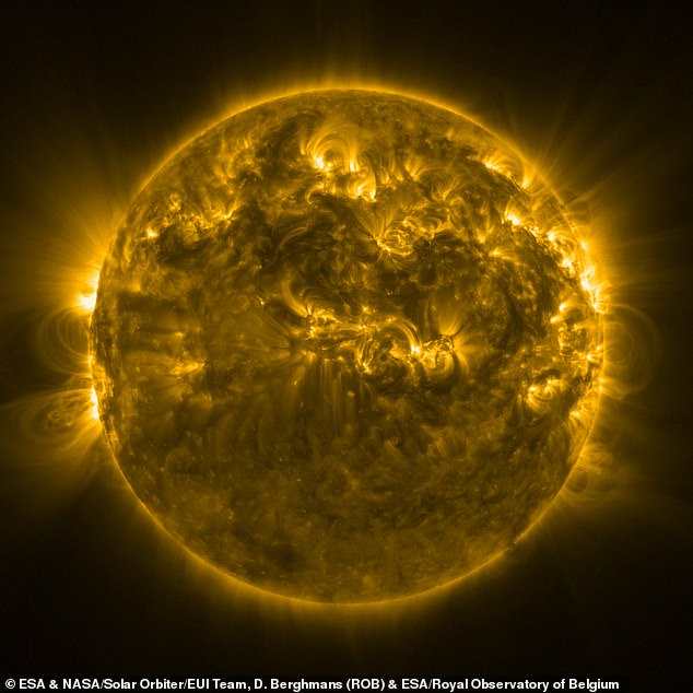 See our Sun like NEVER before: First ever photo of our home star's ...