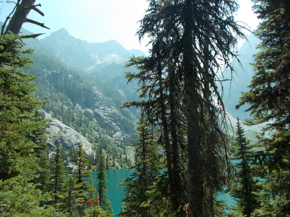 Authorities narrow search for Washington father accused of killing 3 ...